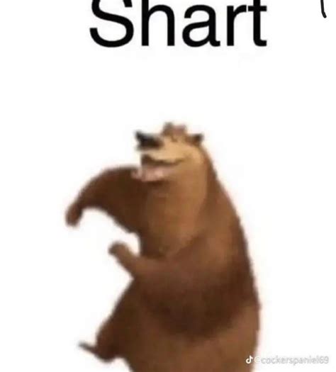 Shart R197