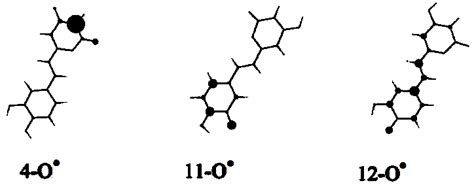 Spin Density Distribution For I O Styrylpyrone Radicals A Hispidin