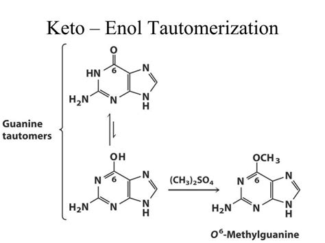 Ppt Nucleotides And Nucleic Acids Lehninger Chapter8 Powerpoint