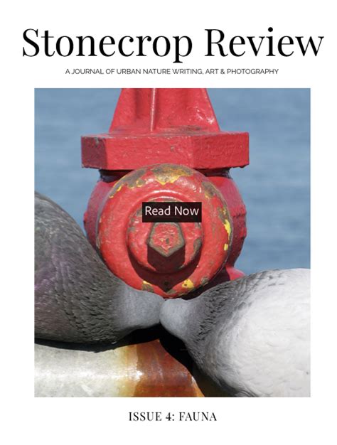 “the Crow Tree” Crow Tree Books