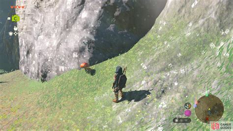 Hylian Shroom The Legend Of Zelda Tears Of The Kingdom Database