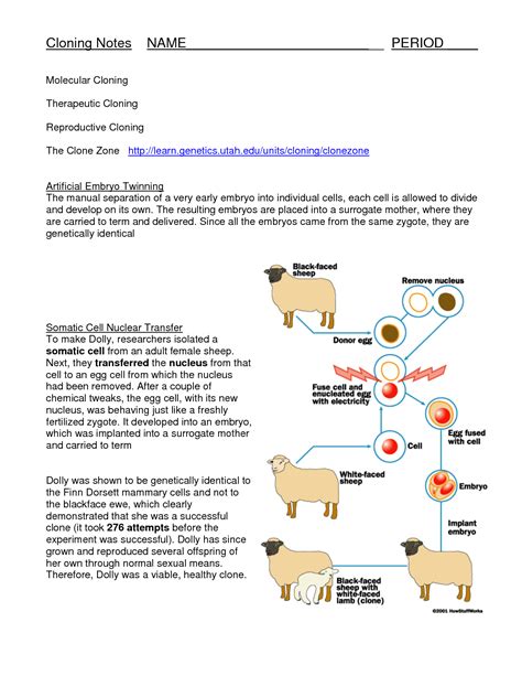 Cloning Fact Sheet Biological Science Picture Directory