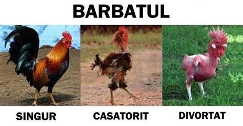 Etapele Vietii Unui Barbat Bancuri Tari 2021