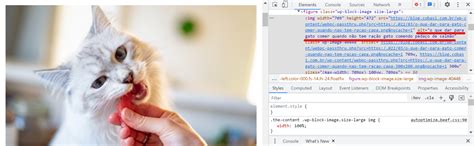 Dicas Para Melhorar O SEO Do Seu Site