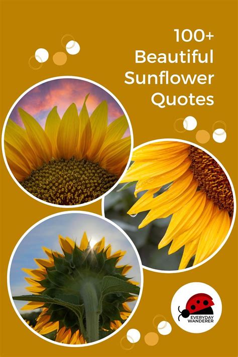 50 Instagram Captions For Flower Pics That Will Have Your Insta