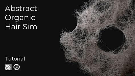 Vellum Hair Organic Wireframe In Houdini C D Tutorial DArt