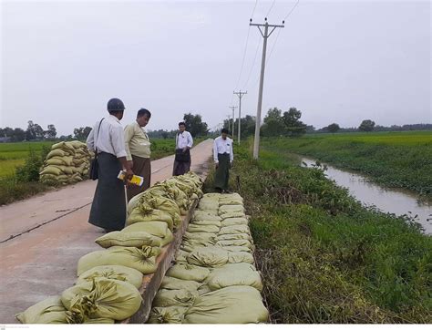 ငပုတောမြို့၌ မြို့နယ်စိုက်တိုးမြှင့်အဖွဲ့မှ သက္ကာယ်ချောင်းကျေးရွာရှိ