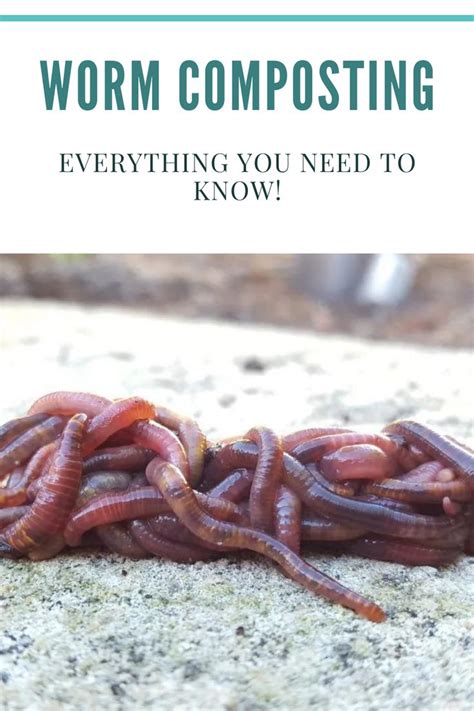 Worms Crawling On The Ground With Text That Reads Worm Composting