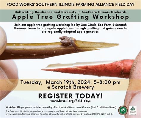 Apple Tree Grafting Workshop Wdbx