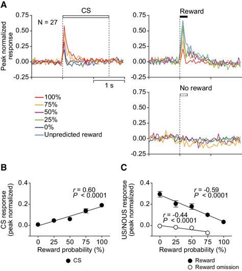 Baseline Subtracted And Peak Normalized Population Activity Of Download Scientific Diagram