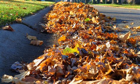 Fall Leaf Collection Municipal Excess Liability