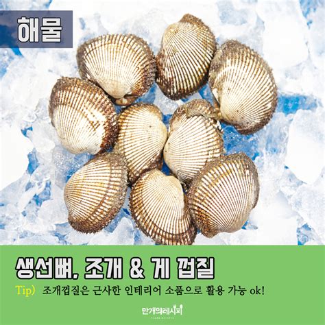 일반쓰레기 Vs 음식물쓰레기 이것만 알면 고민 끝