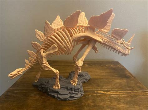 Stegosaurus Dinosaur Skeleton Modeldecoration Etsy