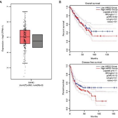 Iars2 Knockdown Suppresses Colony Formation In Osteosarcoma Cell Lines