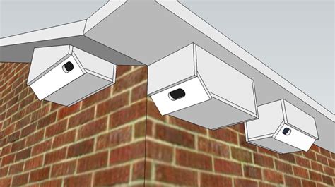 Action For Swifts Diy Swift Box Designs
