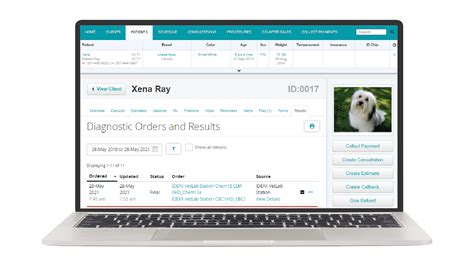 Top 10 Veterinary Practice Management Software 2024