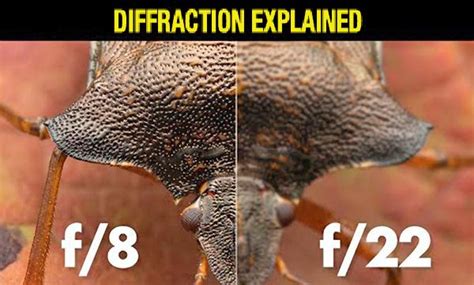 How Lens DIFFRACTION Affects Photos What To Do About It VIDEO Shutterbug