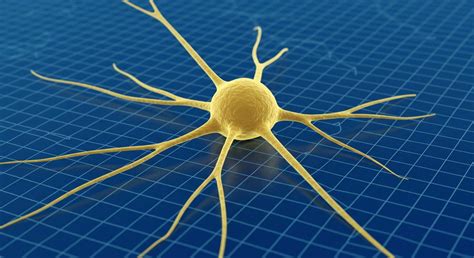 Memristor Networks Learn Chaotic Systems Via Optimised Electrical Control