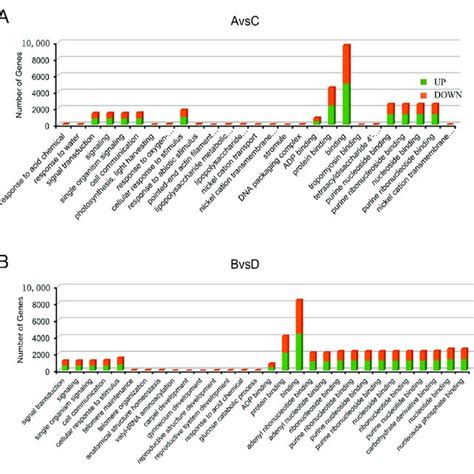 Gene Functional Classifications In Kog Database These 49395 Sequences Download Scientific