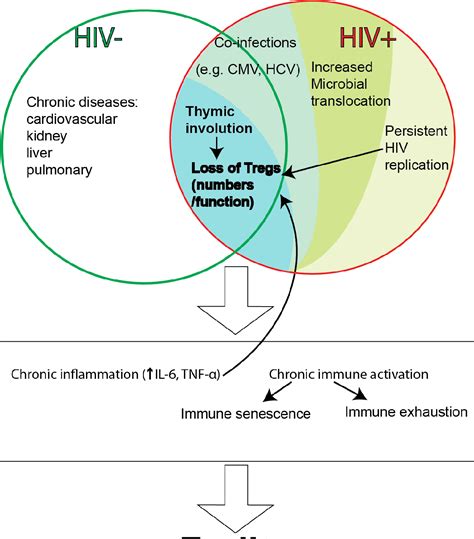 The Role Of Regulatory T Cells In Frailty In Men Who Have Sex With Men