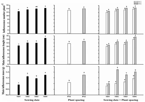 inflorescence characters of chia in response to different sowing dates