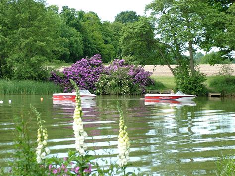 Gosfield Lake Resort Local Listings