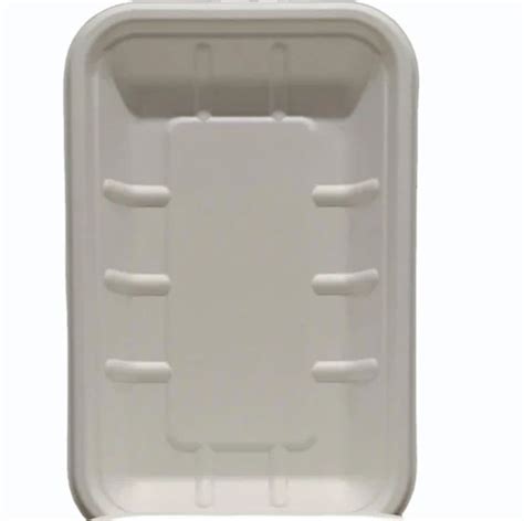 10 Inch 2d Disposable Rectangle Snake Sugarcane Bagasse Plate At ₹ 15