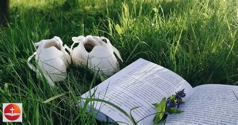 40bible Verses About Studying The Bible