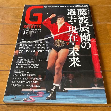 G Spirits Vol19 藤波辰爾の過去 現在 未来 長州力 天龍源一郎 ミルマスカラス グラン浜田 他プロレス｜売買された