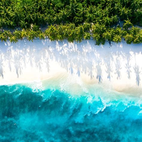 Worlds Best Beaches Worlds Best Beaches Com Worlds Best Beaches