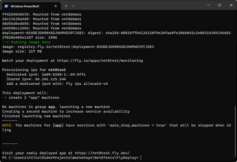 Do ASP NET Web Applications Play Nice With Fly Io