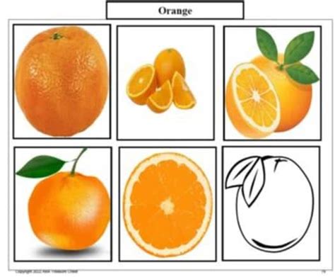 Select And Label Pictures Of Common Items Aba Ablls R C14 C17 C40 C41 C46 G4 G11