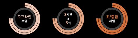 The Modellers Financial Modelling 101 X 201 11 Offline Class