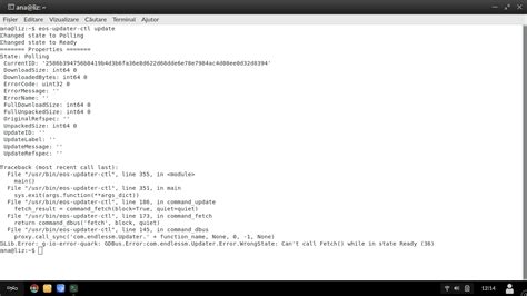 Chrome Does Not Open Help Endless Os Community