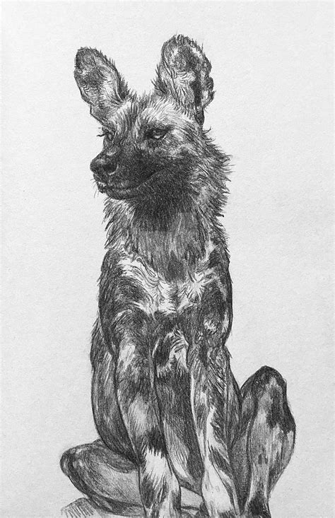 Painted Wolf By Spsketchpad On Deviantart