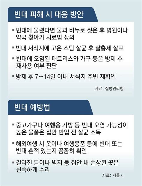 수도권까지 ‘빈대 비상령 지자체마다 방역 골머리