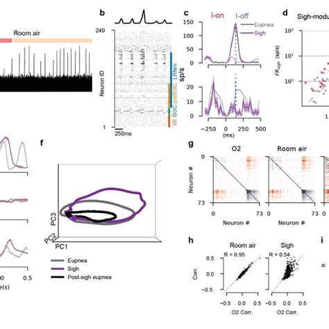 Low Dimensional Manifold Underlie Respiratory Neural Activity Download Scientific Diagram