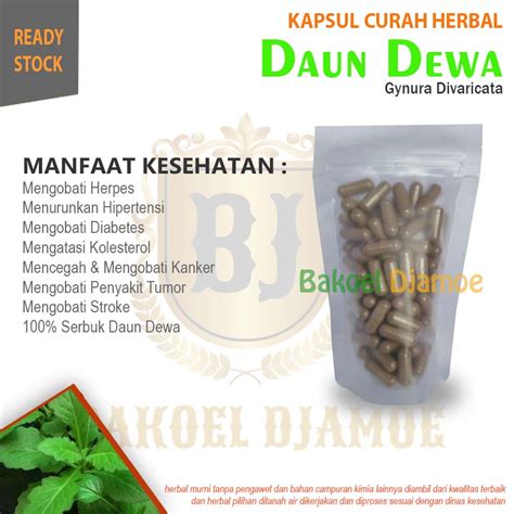 Daun Dewa Kapsul Herbal Daun Dewa Obat Herbal Daun Dewa Kapsul Daun Dewa Obat Herbal Kapsul Daun