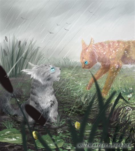 Jayfeather And Flametail Warriors By Romashik Arts On Deviantart