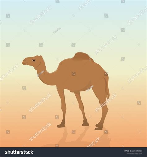Desert Camel Shadow Gradient Background Stock Vector Royalty Free