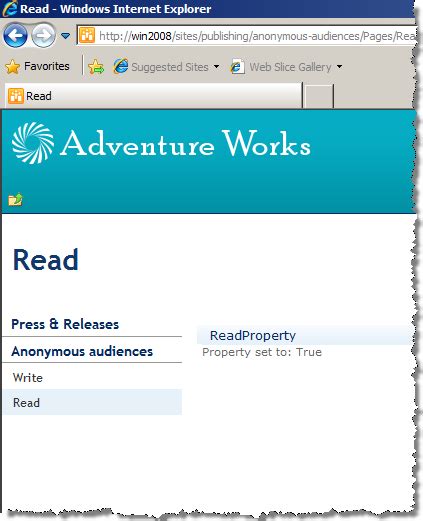 content targeting for anonymous users with sharepoint server 2010 part