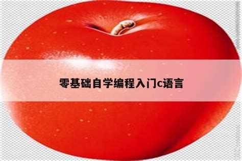 零基础自学编程入门c语言 编程语言 Proteus8软件proteus软件