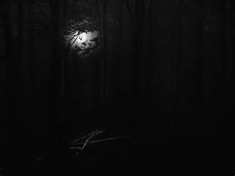 Julianna Foster Lone Hunter In The In Between