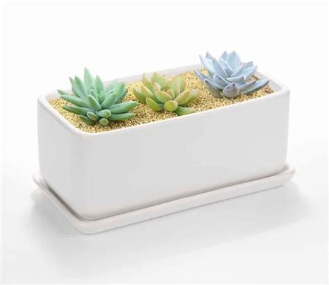 Rectangular Modern Ceramic Planter Pot At ₹ 849piece Ceramic Planter
