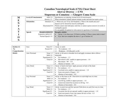 Canadian Neurological Scale Cns Cheat Sheet