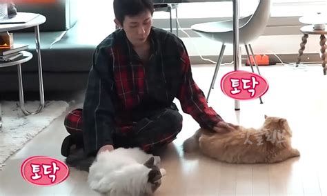 코드쿤스트 7년째 열애중 나혼산 하차코쿤 여친 이재희 엘르 잡지 에디터 부쉐론 반지 커플링 여자친구 인스타 비연예인 나이 동갑