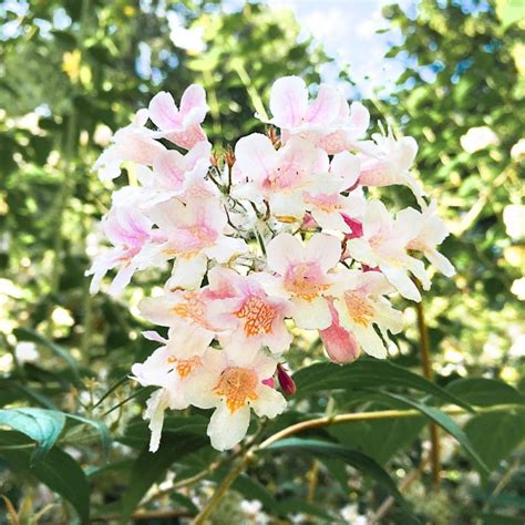 Sex Love And Relationships In The New Paradigm