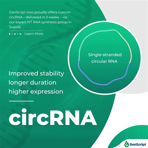 Genscript On Linkedin Ivt Rna Production Services
