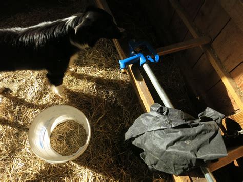 The Dancing Donkey How To Install A Frost Free Hydrant