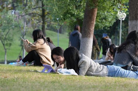 新重庆冬日暖阳 草坪上长满大学生 宣传部